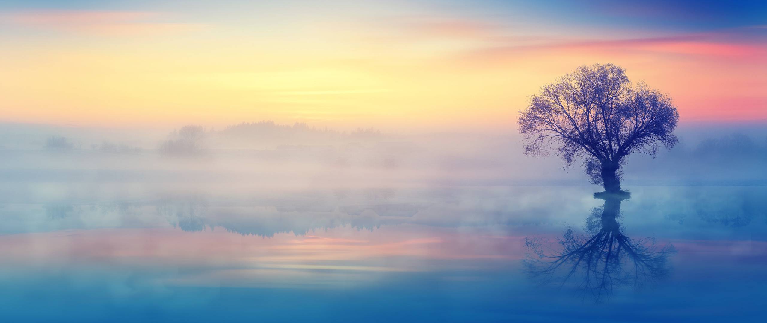 Lonely Tree Wallpapers - Top Free Lonely Tree Backgrounds - WallpaperAccess