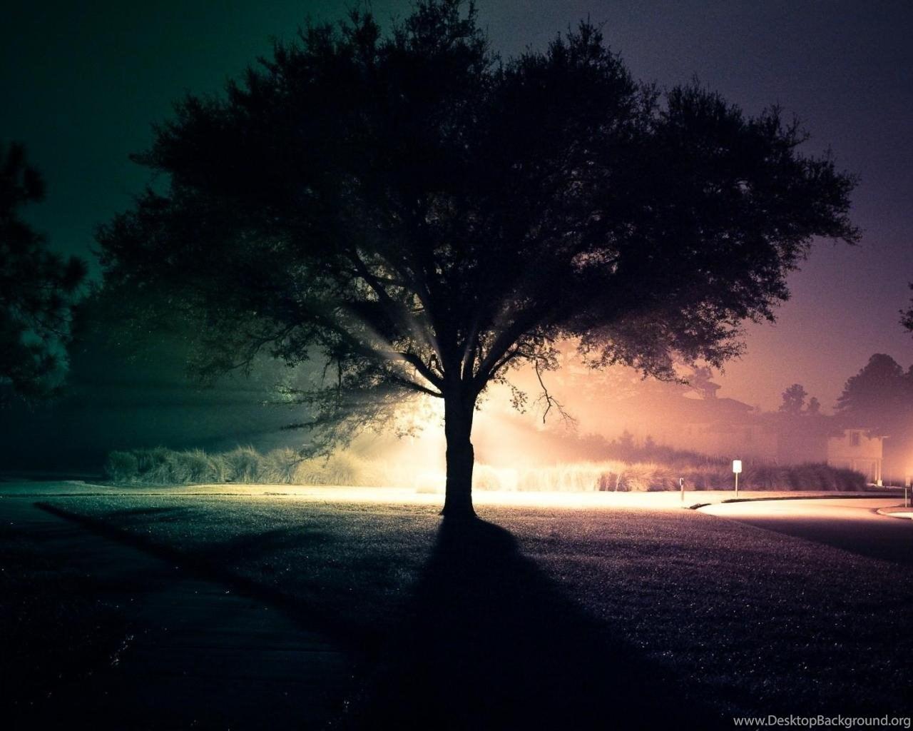 Lonely Tree Wallpapers - Top Free Lonely Tree Backgrounds - WallpaperAccess