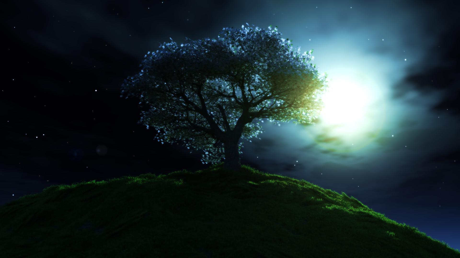 Lonely Tree Wallpapers - Top Free Lonely Tree Backgrounds - WallpaperAccess