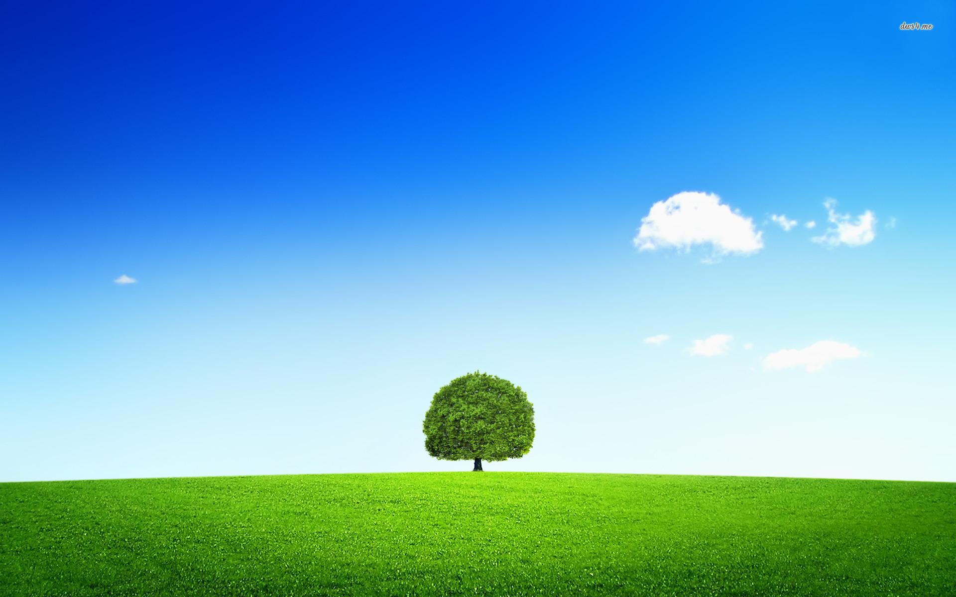 Lonely Tree Wallpapers - Top Free Lonely Tree Backgrounds - WallpaperAccess
