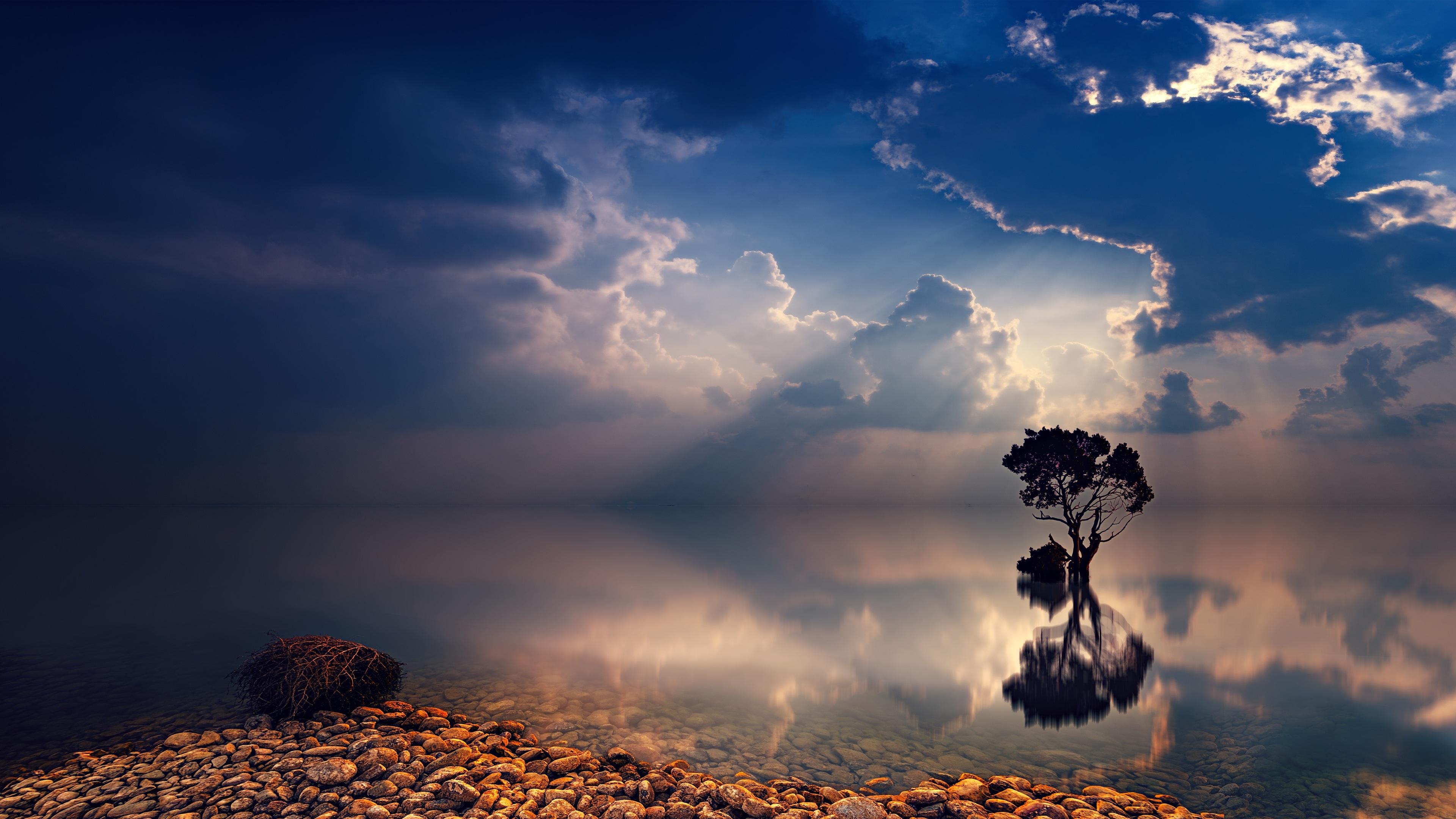 Lonely Tree Wallpapers - Top Free Lonely Tree Backgrounds - WallpaperAccess