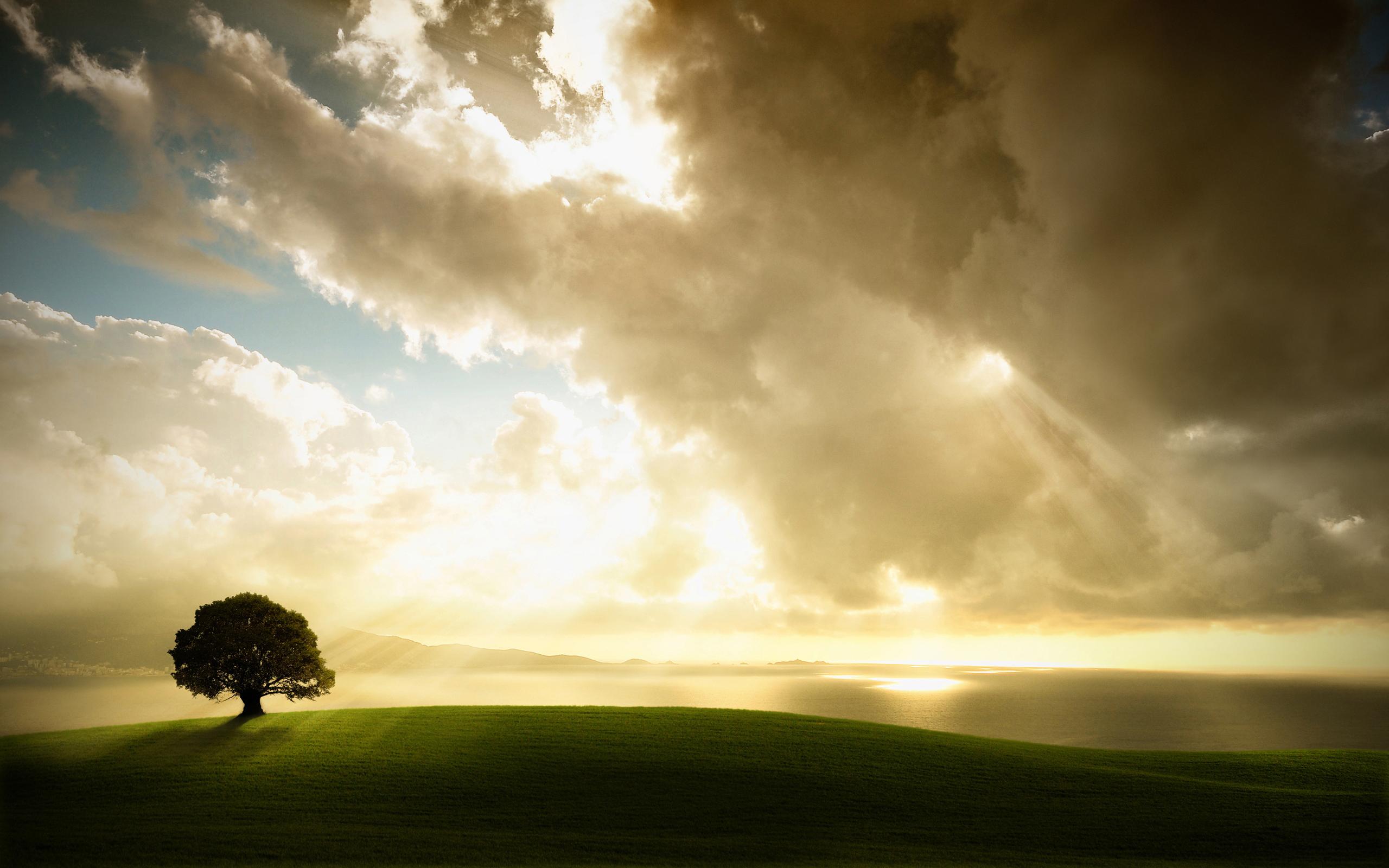 Lonely Tree Wallpapers - Top Free Lonely Tree Backgrounds - WallpaperAccess