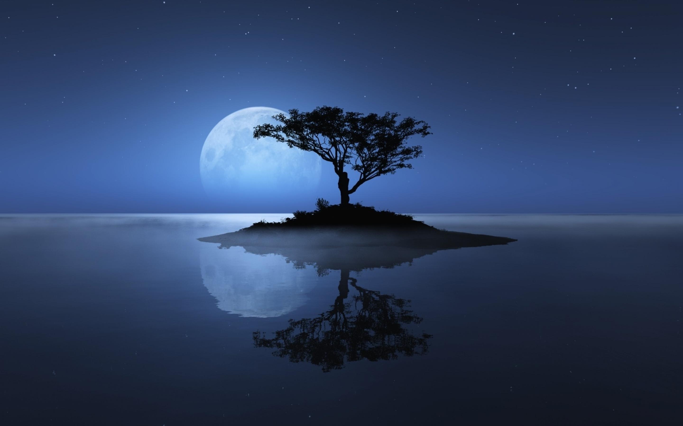 Lonely Tree Wallpapers - Top Free Lonely Tree Backgrounds - WallpaperAccess