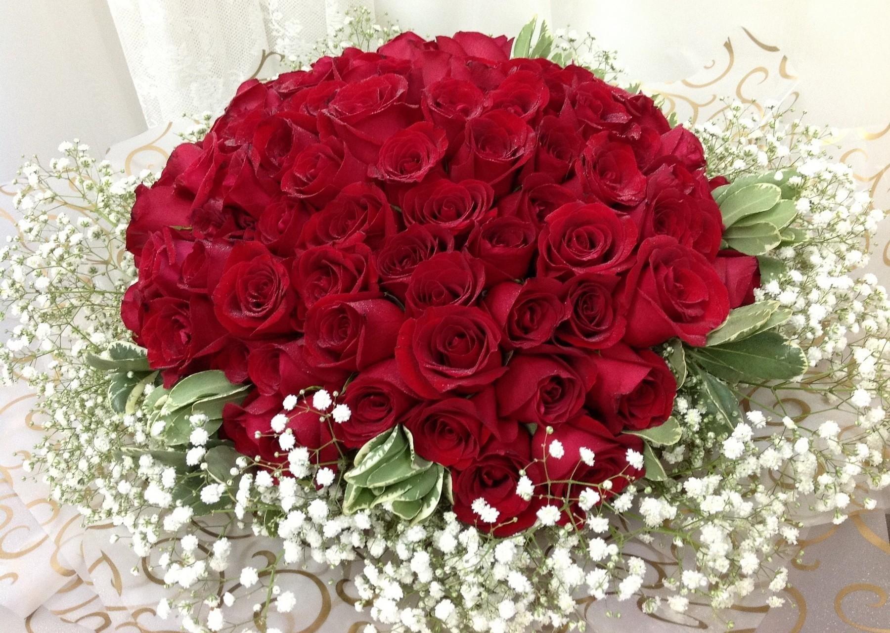 Gypsophila Wallpapers - Top Free Gypsophila Backgrounds - WallpaperAccess