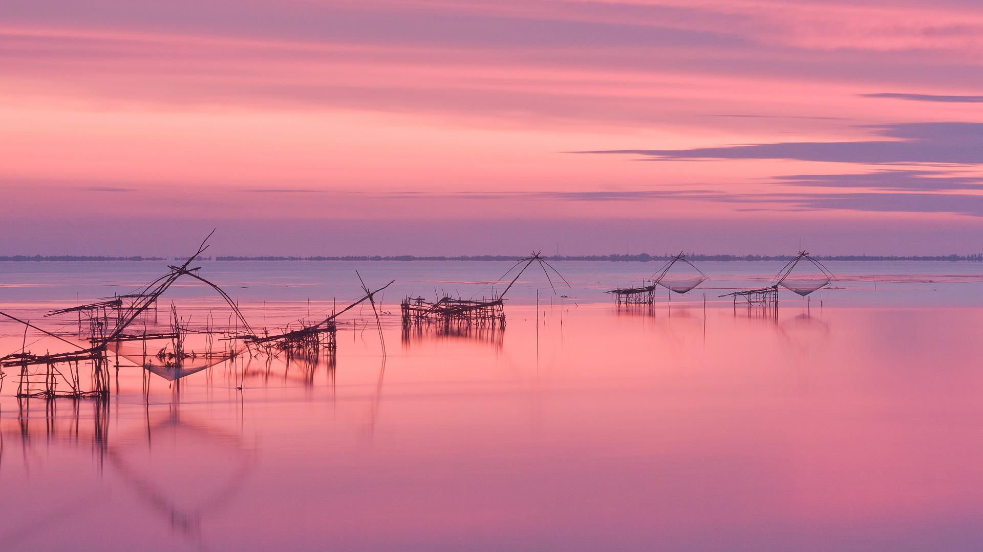 Windows 10 Pink Wallpapers - Top Free Windows 10 Pink Backgrounds ...