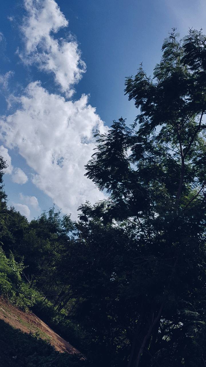 Calming Aesthetic Wallpapers - Top Free Calming Aesthetic Backgrounds ...