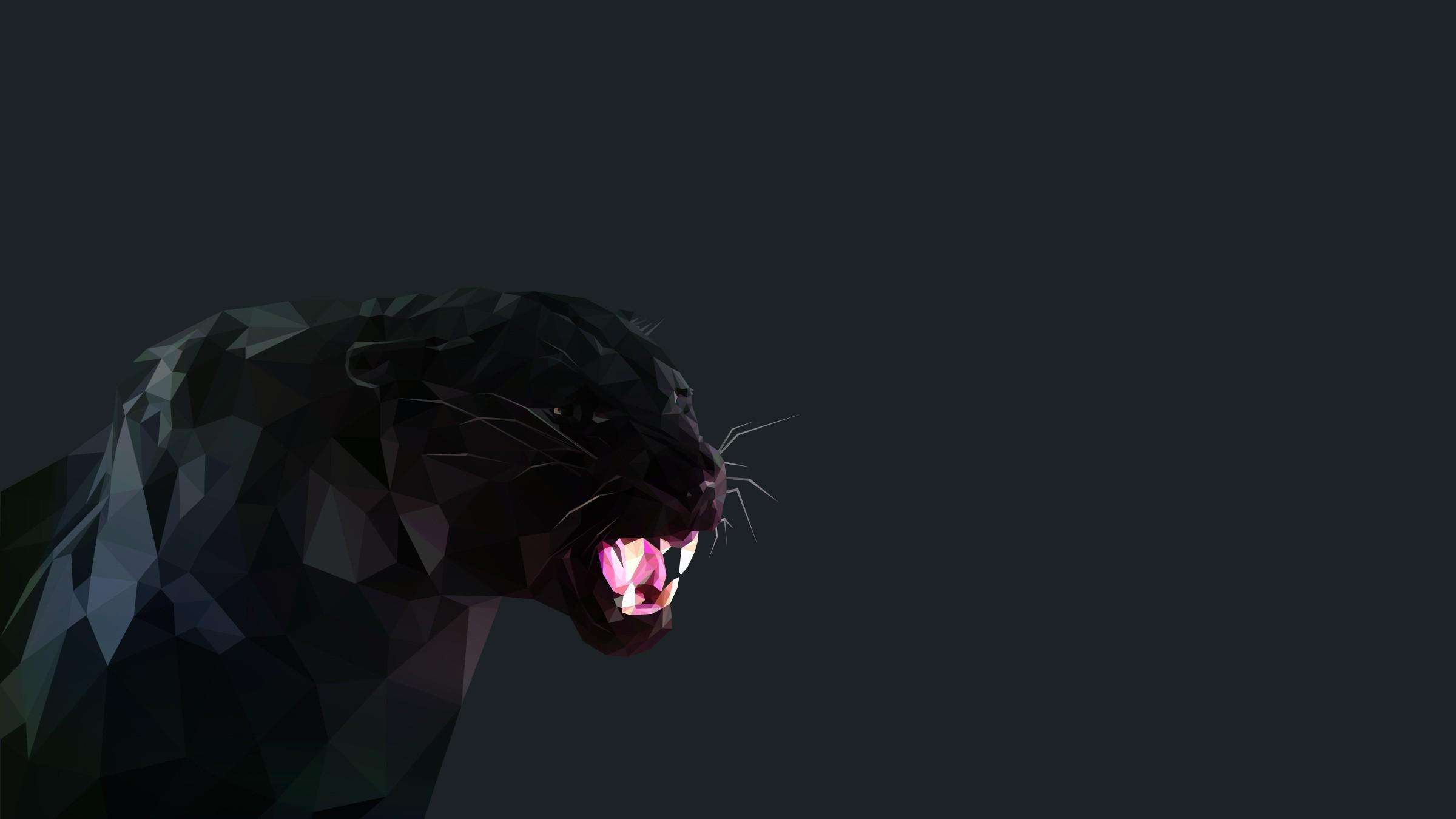 Black Animal Wallpapers - Top Free Black Animal Backgrounds ...