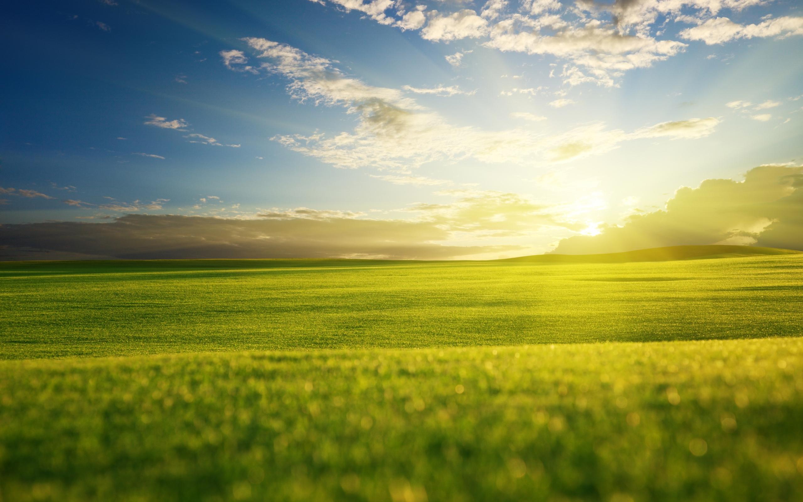 Sunny Morning Wallpapers - Top Free Sunny Morning Backgrounds ...