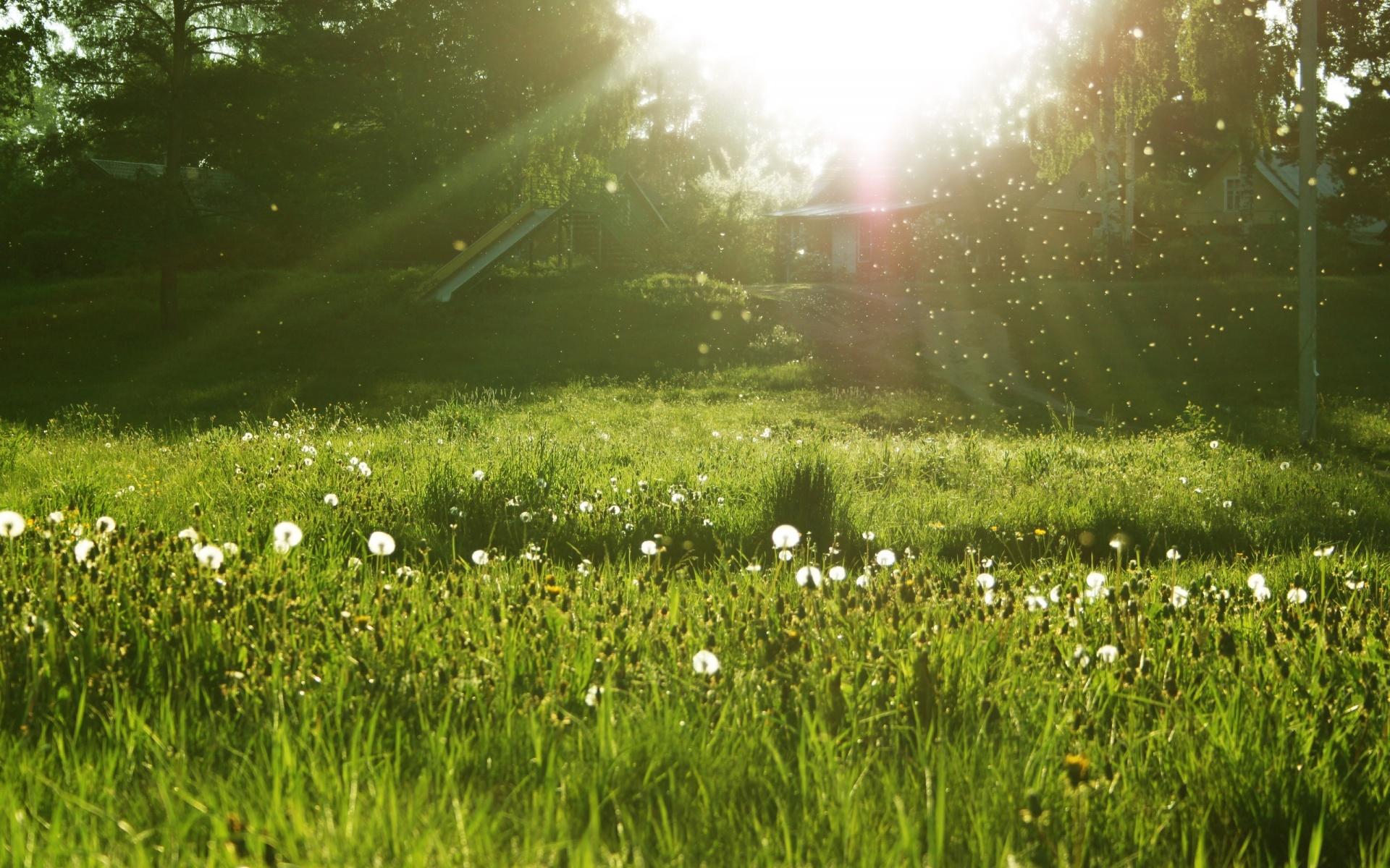 Sunny Morning Wallpapers - Top Free Sunny Morning Backgrounds ...