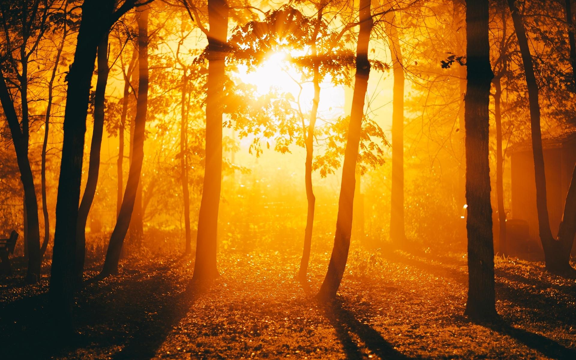 Sunny Morning Wallpapers - Top Free Sunny Morning Backgrounds ...