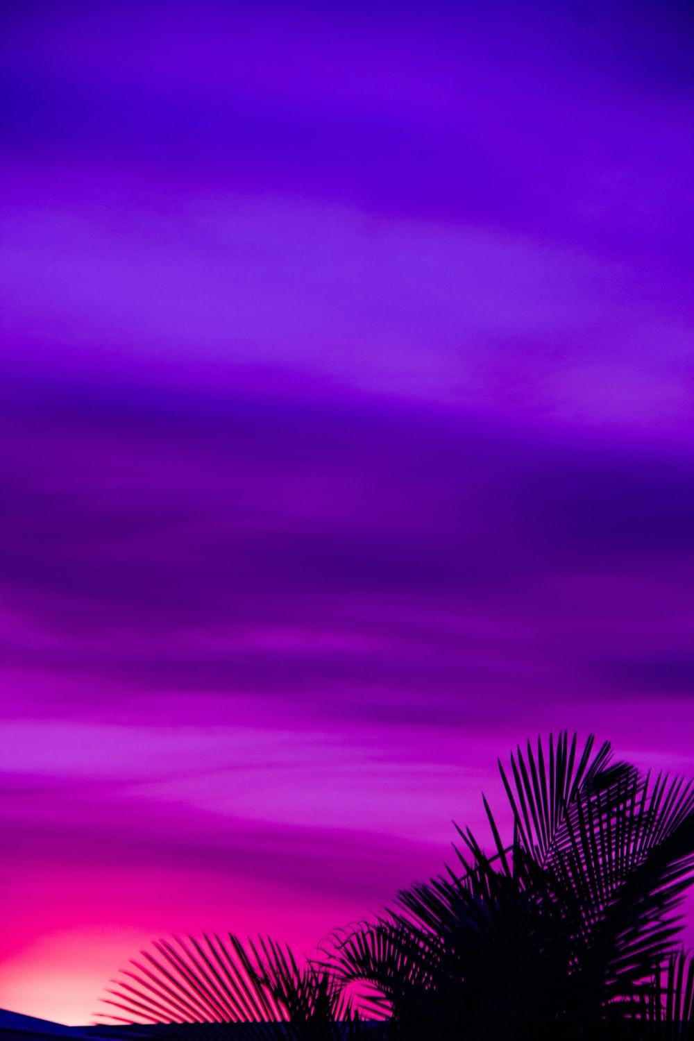 Purple World Wallpapers - Top Free Purple World Backgrounds ...