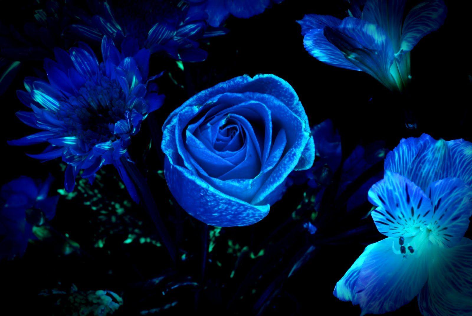 Blue Glow Wallpapers - Top Free Blue Glow Backgrounds - WallpaperAccess