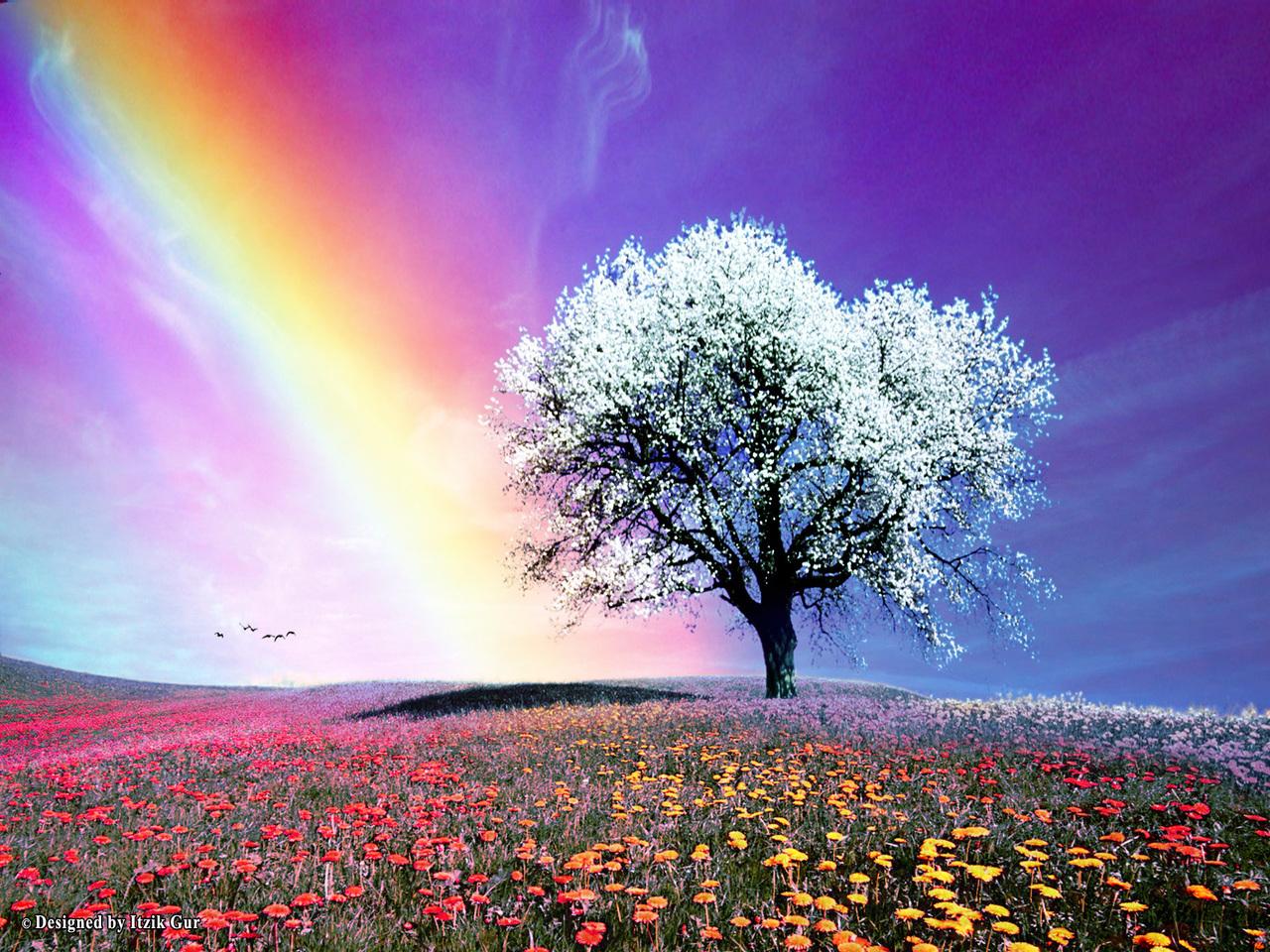 Rainbow Landscape Wallpapers - Top Free Rainbow Landscape Backgrounds ...