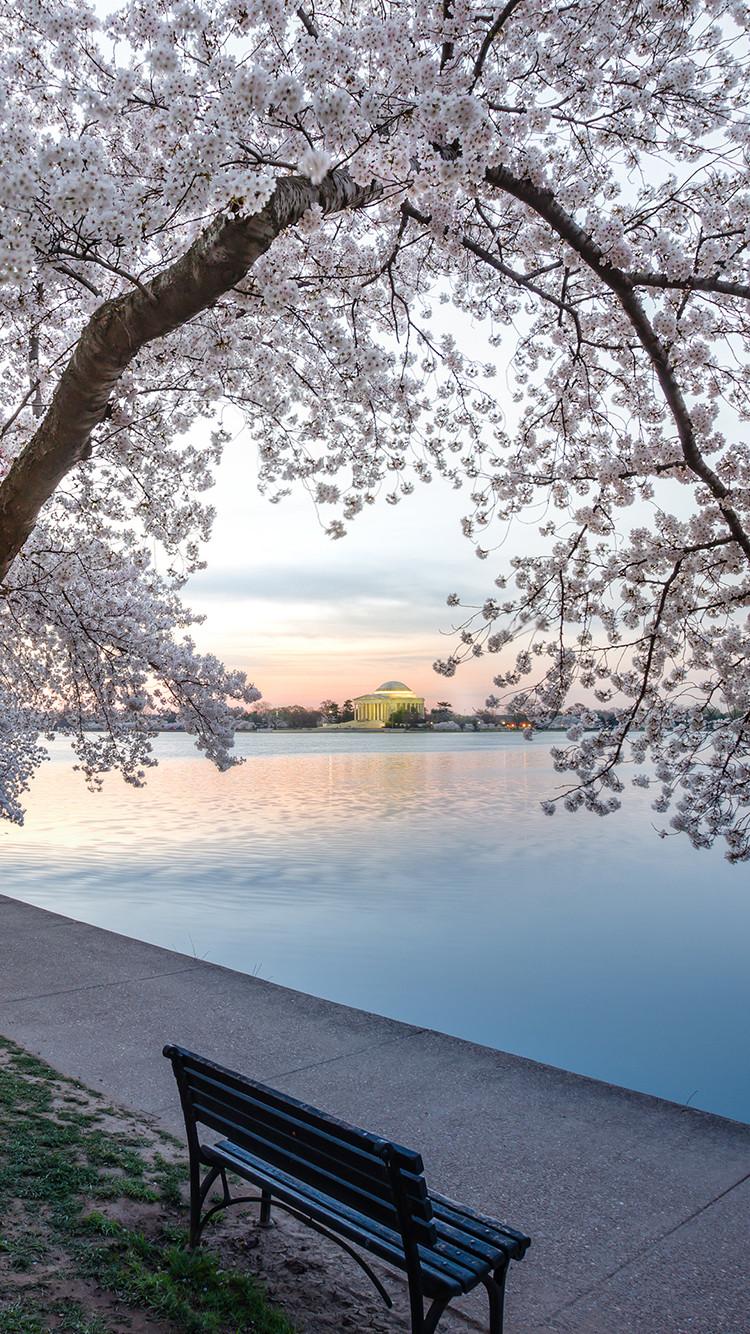 Washington DC iPhone Wallpapers - Top Free Washington DC iPhone ...