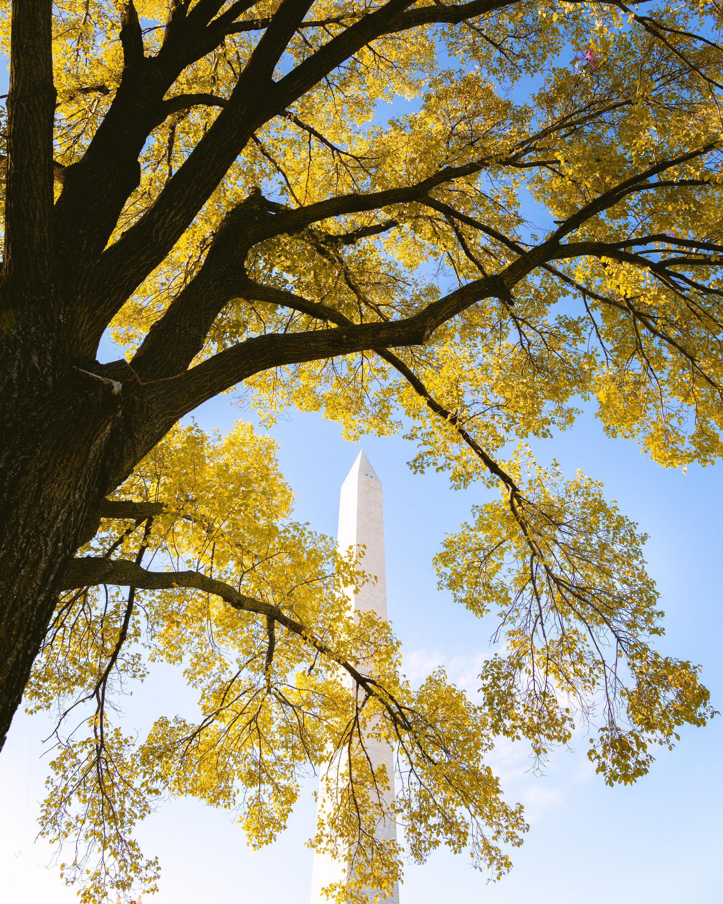 Washington DC iPhone Wallpapers - Top Free Washington DC iPhone ...