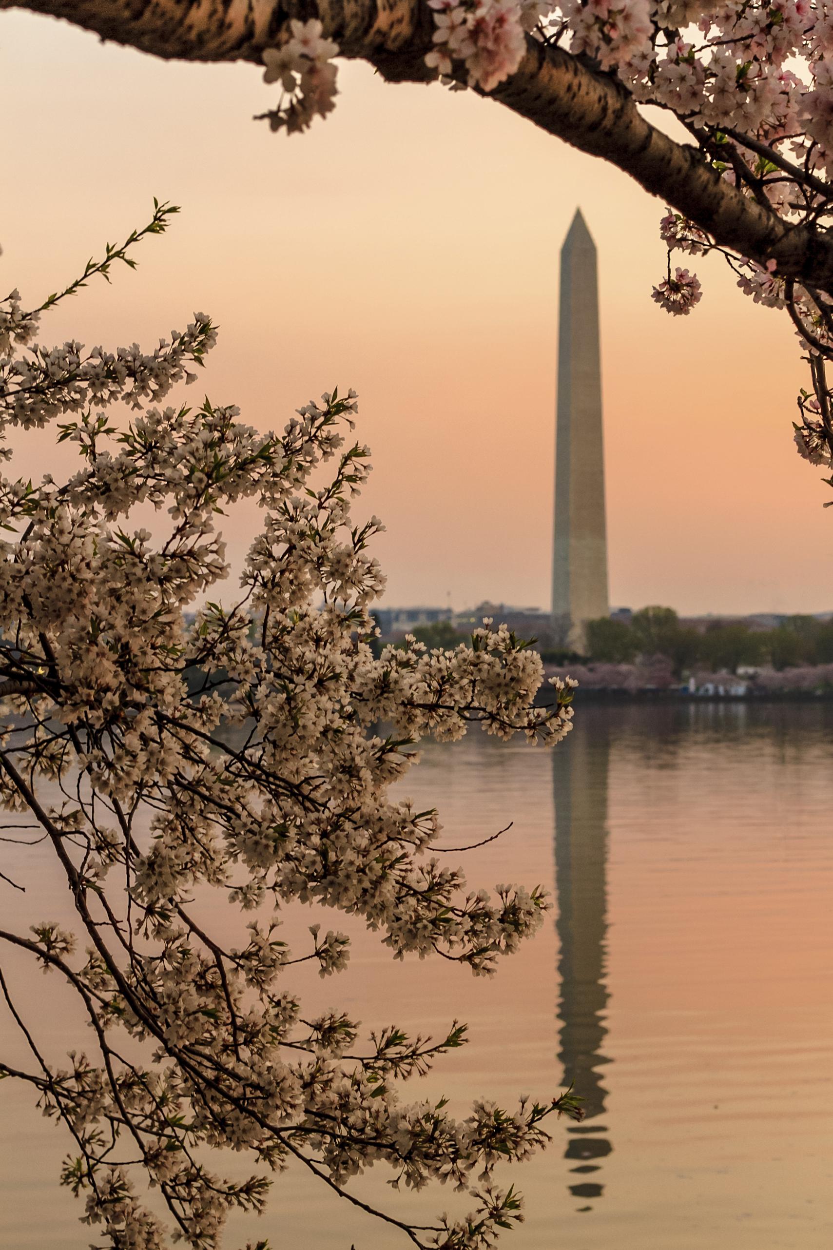 Washington DC iPhone Wallpapers - Top Free Washington DC iPhone ...