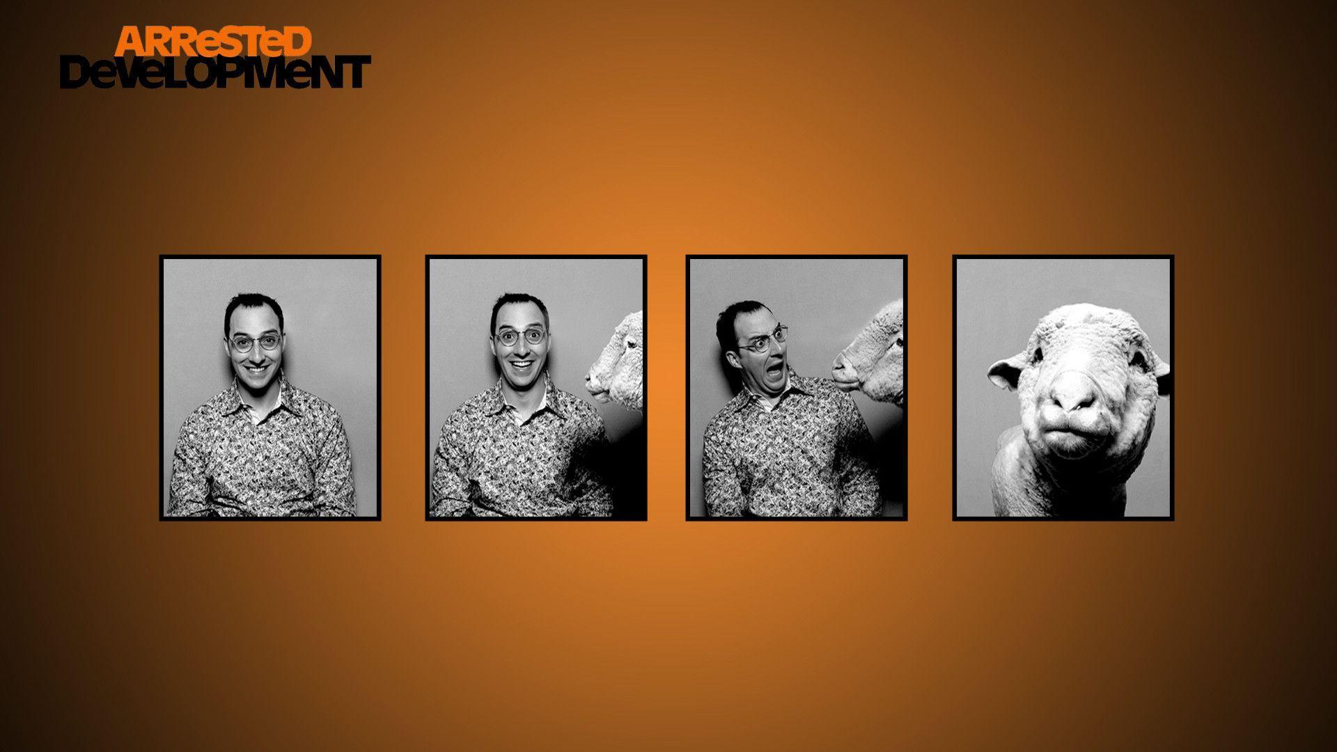 Arrested Development Wallpapers - Top Free Arrested Development Backgrounds - WallpaperAccess