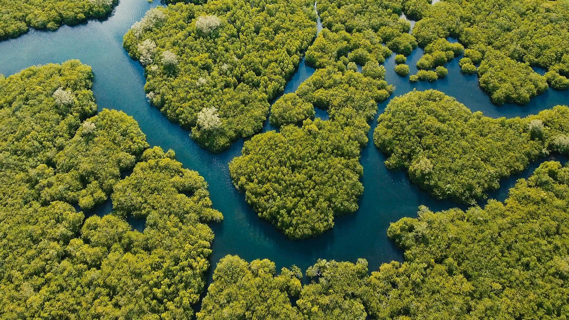 Siargao Island Wallpapers - Top Free Siargao Island Backgrounds ...