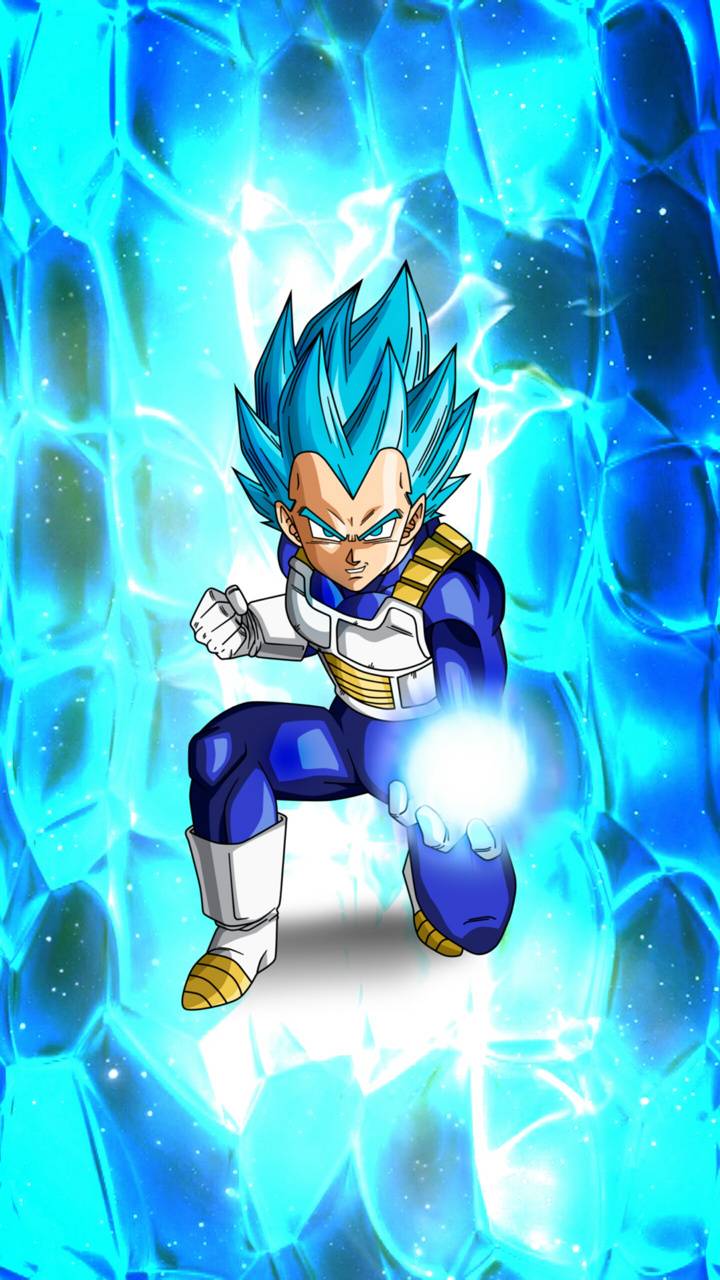 Vegeta Bulma Wallpapers - Top Free Vegeta Bulma Backgrounds ...
