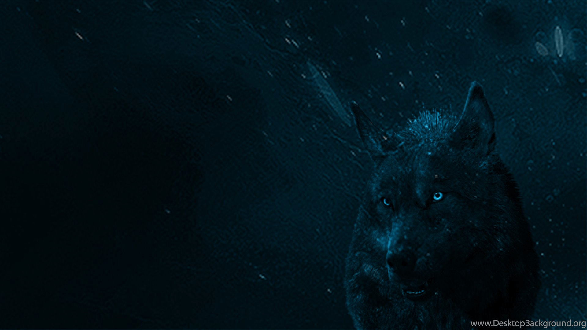 Neon Blue Wolf Wallpapers - Top Free Neon Blue Wolf Backgrounds ...
