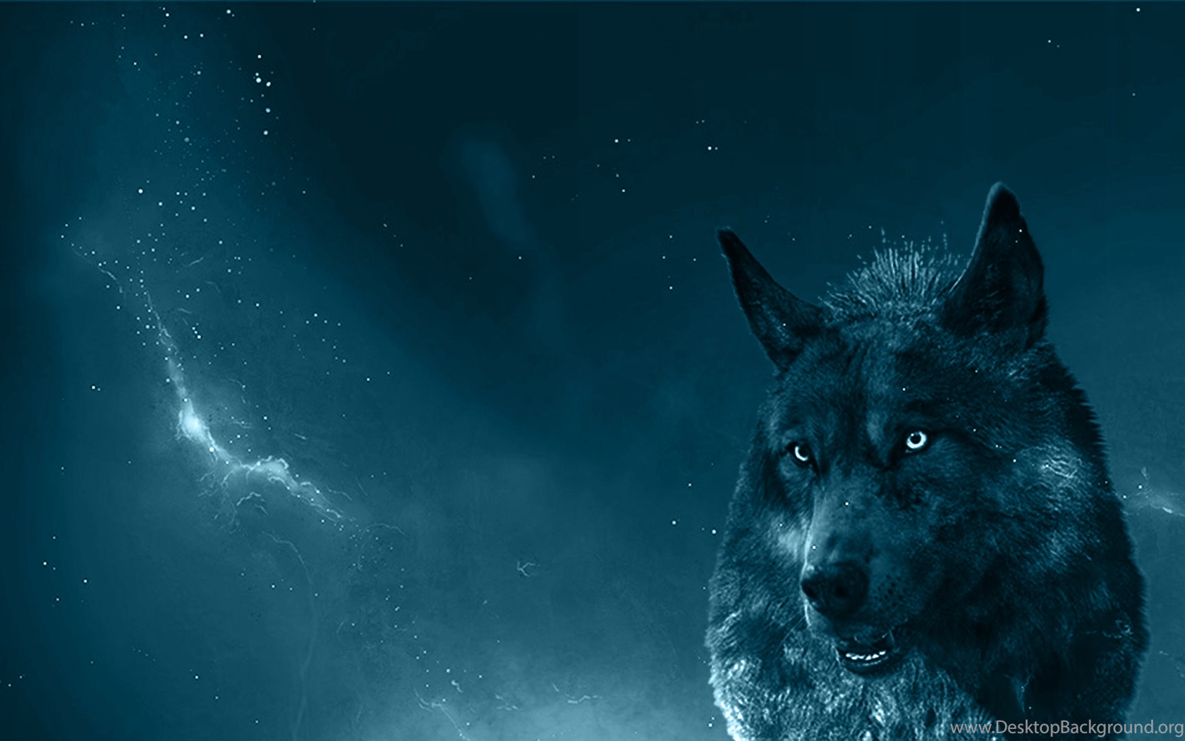 Neon Blue Wolf Wallpapers - Top Free Neon Blue Wolf Backgrounds ...