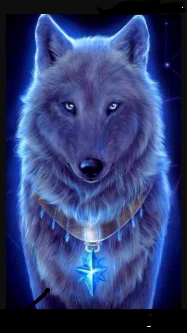 Neon Blue Wolf Wallpapers - Top Free Neon Blue Wolf Backgrounds ...