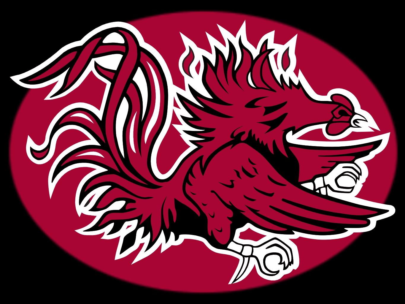 South Carolina Gamecocks Wallpapers - Top Free South Carolina Gamecocks ...