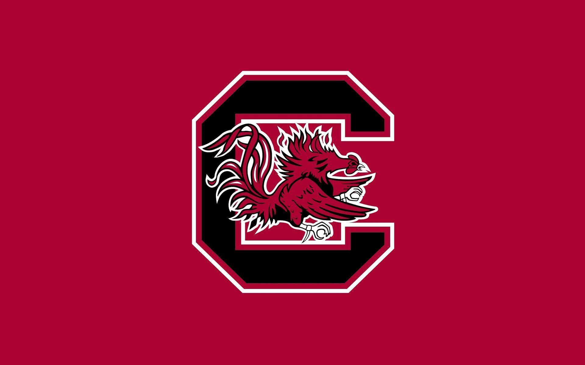 South Carolina Gamecocks Wallpapers - Top Free South Carolina Gamecocks ...