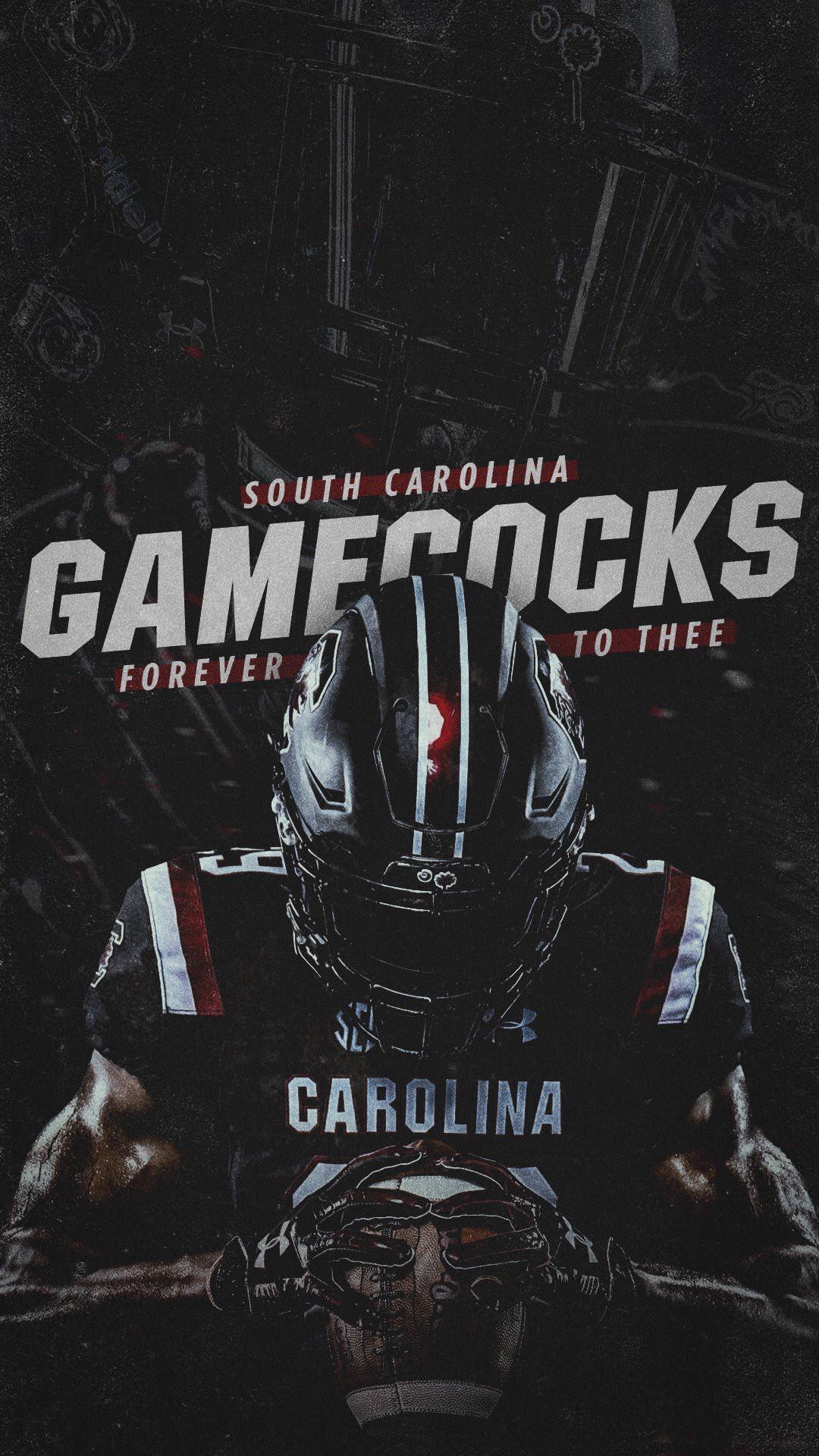 South Carolina Gamecocks Wallpapers - Top Free South Carolina Gamecocks ...