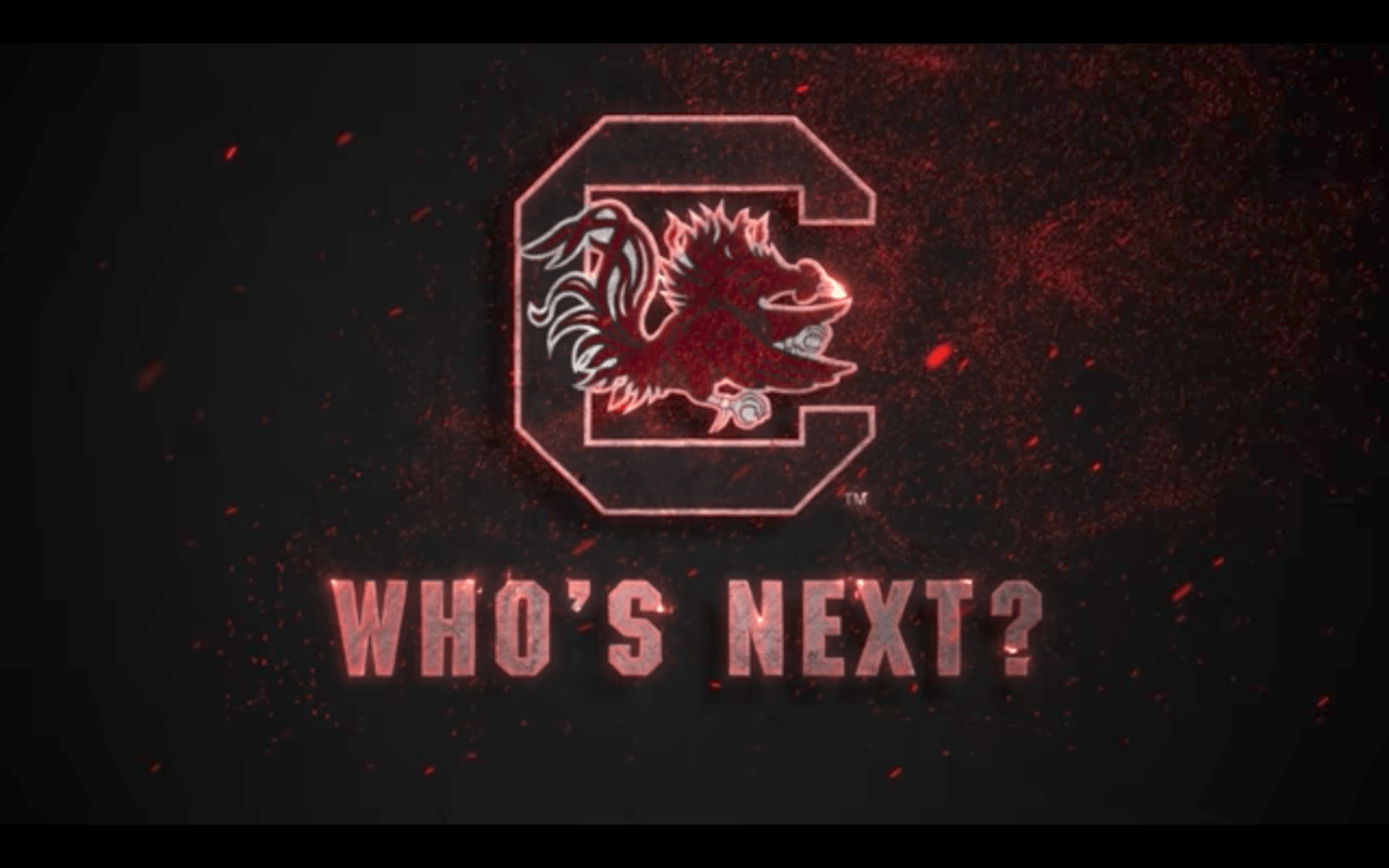 South Carolina Gamecocks Wallpapers - Top Free South Carolina Gamecocks ...