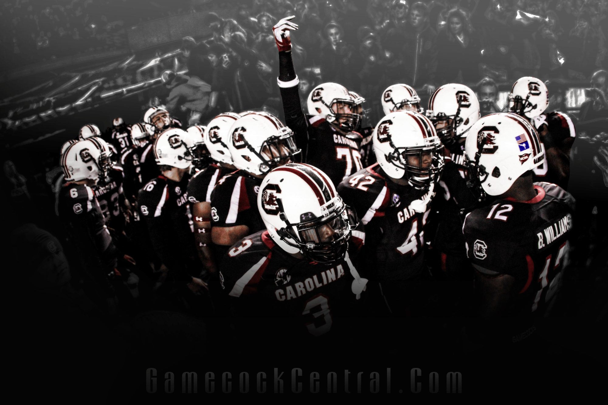 South Carolina Gamecocks Wallpapers - Top Free South Carolina Gamecocks ...