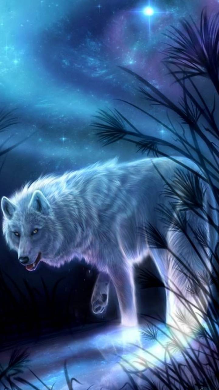 Ghost Wolf Wallpapers - Top Free Ghost Wolf Backgrounds - WallpaperAccess