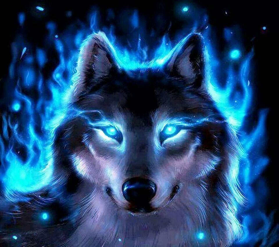 Ghost Wolf Wallpapers - Top Free Ghost Wolf Backgrounds - WallpaperAccess