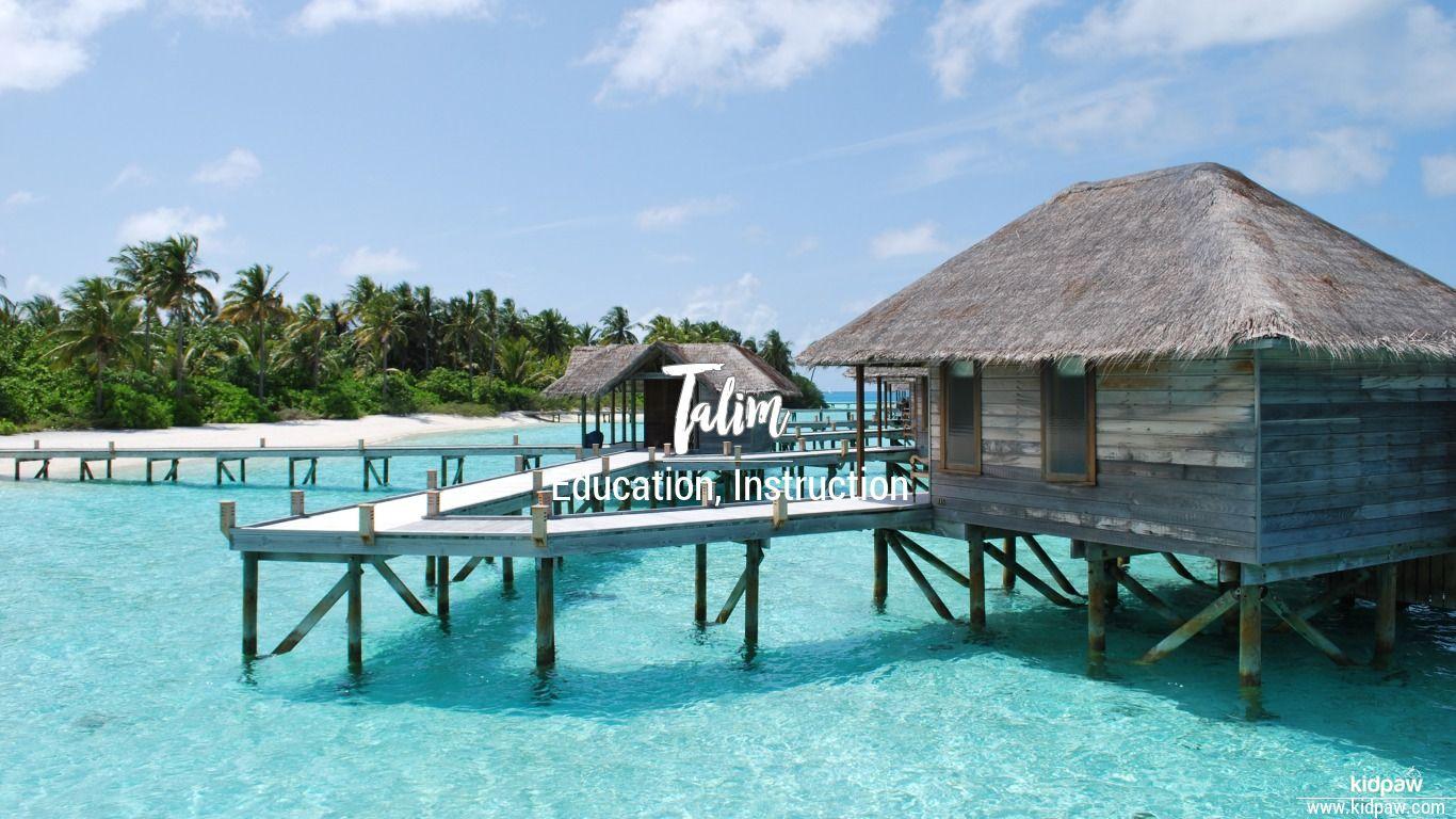 Talim Wallpapers - Top Free Talim Backgrounds - WallpaperAccess