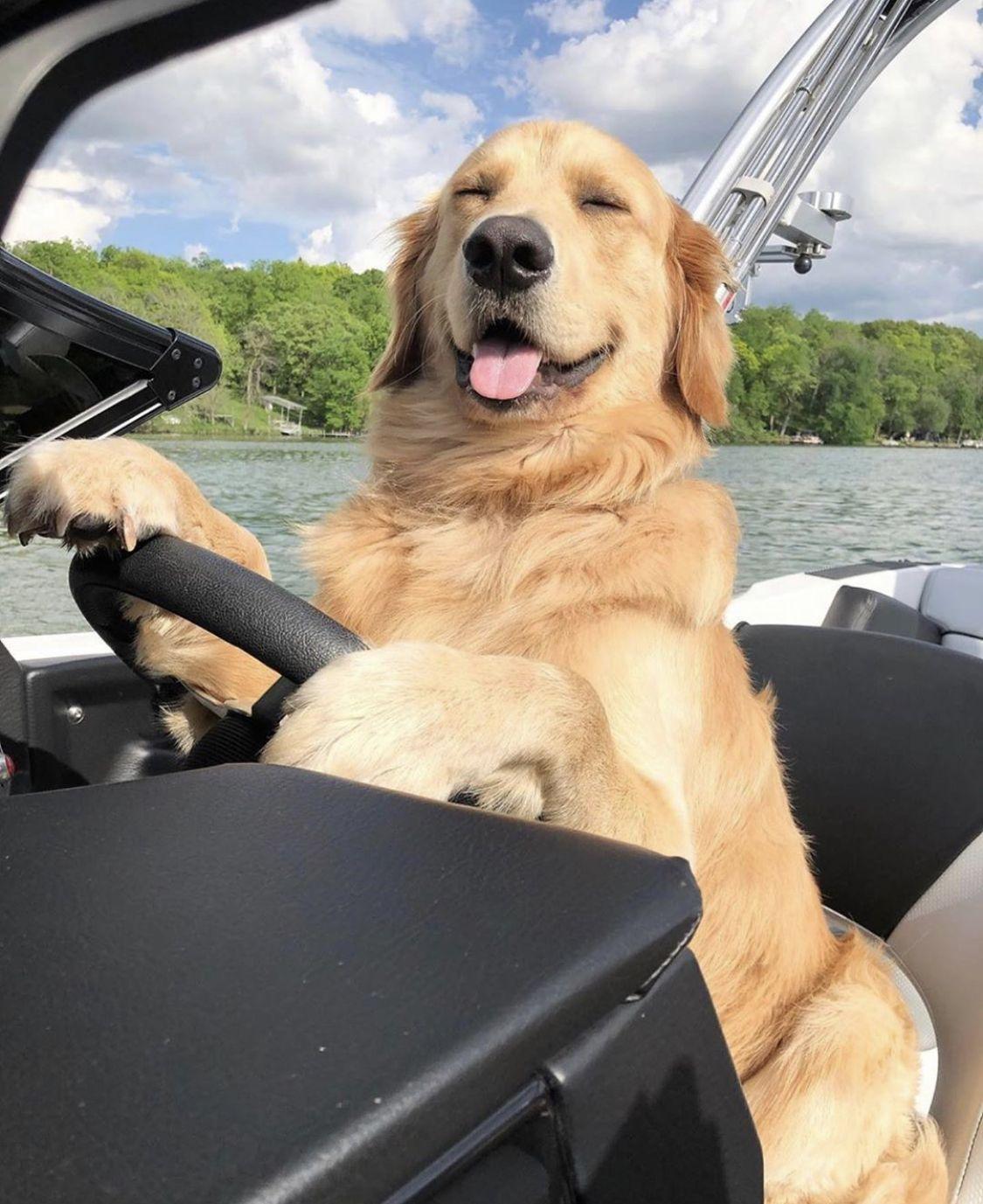 Mastercraft Wallpapers - Top Free Mastercraft Backgrounds - WallpaperAccess