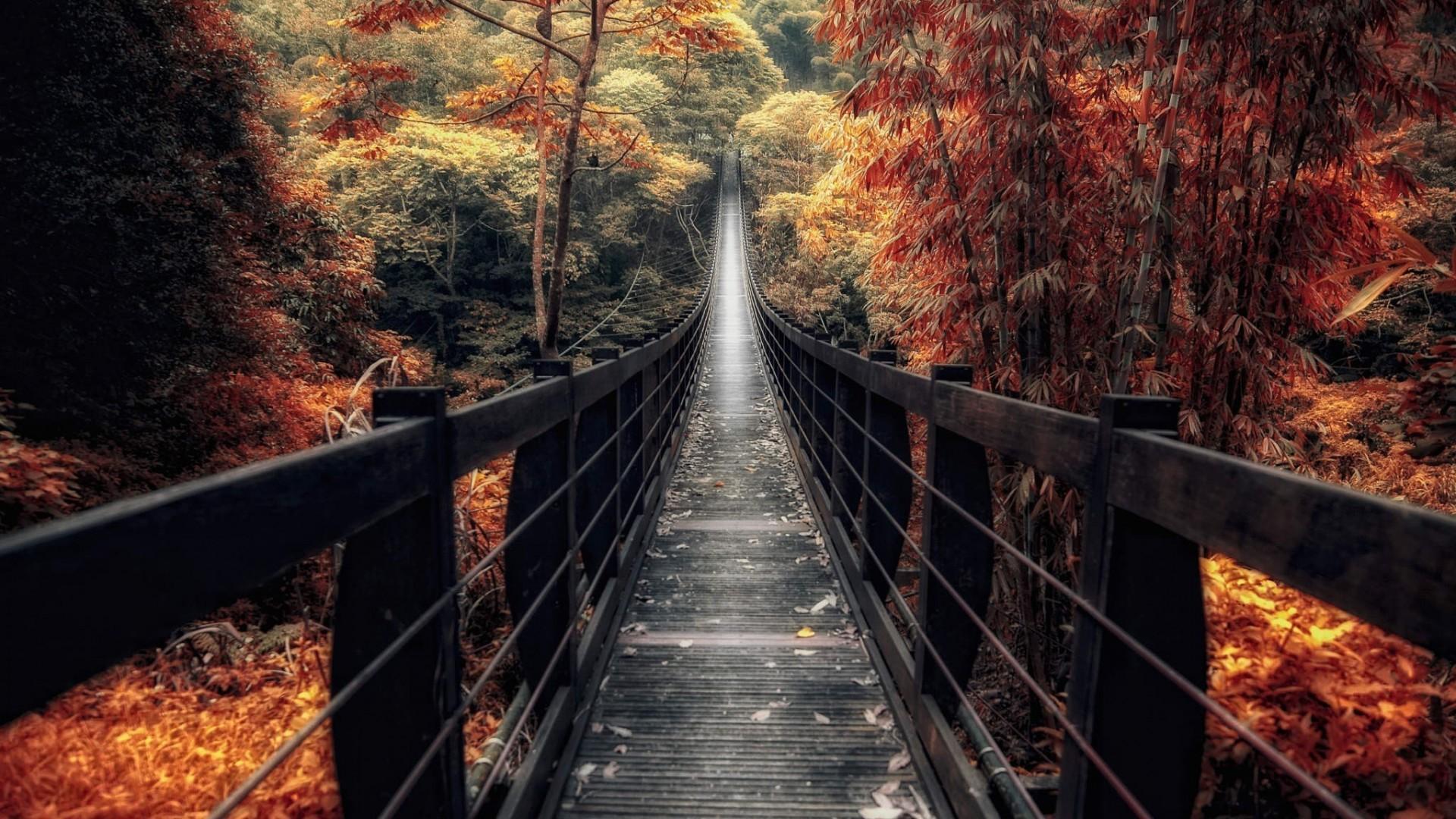 Walkway Wallpapers - Top Free Walkway Backgrounds - WallpaperAccess