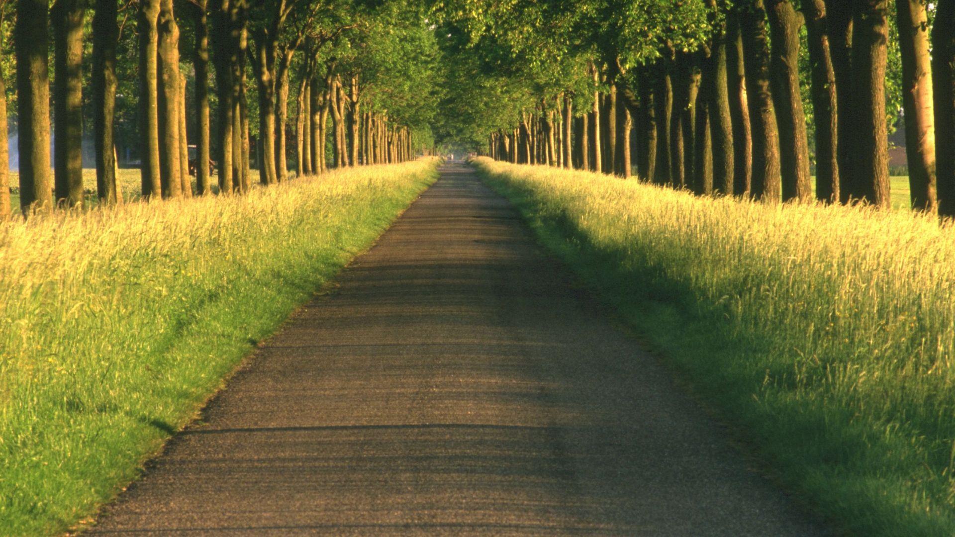 Walkway Wallpapers - Top Free Walkway Backgrounds - WallpaperAccess