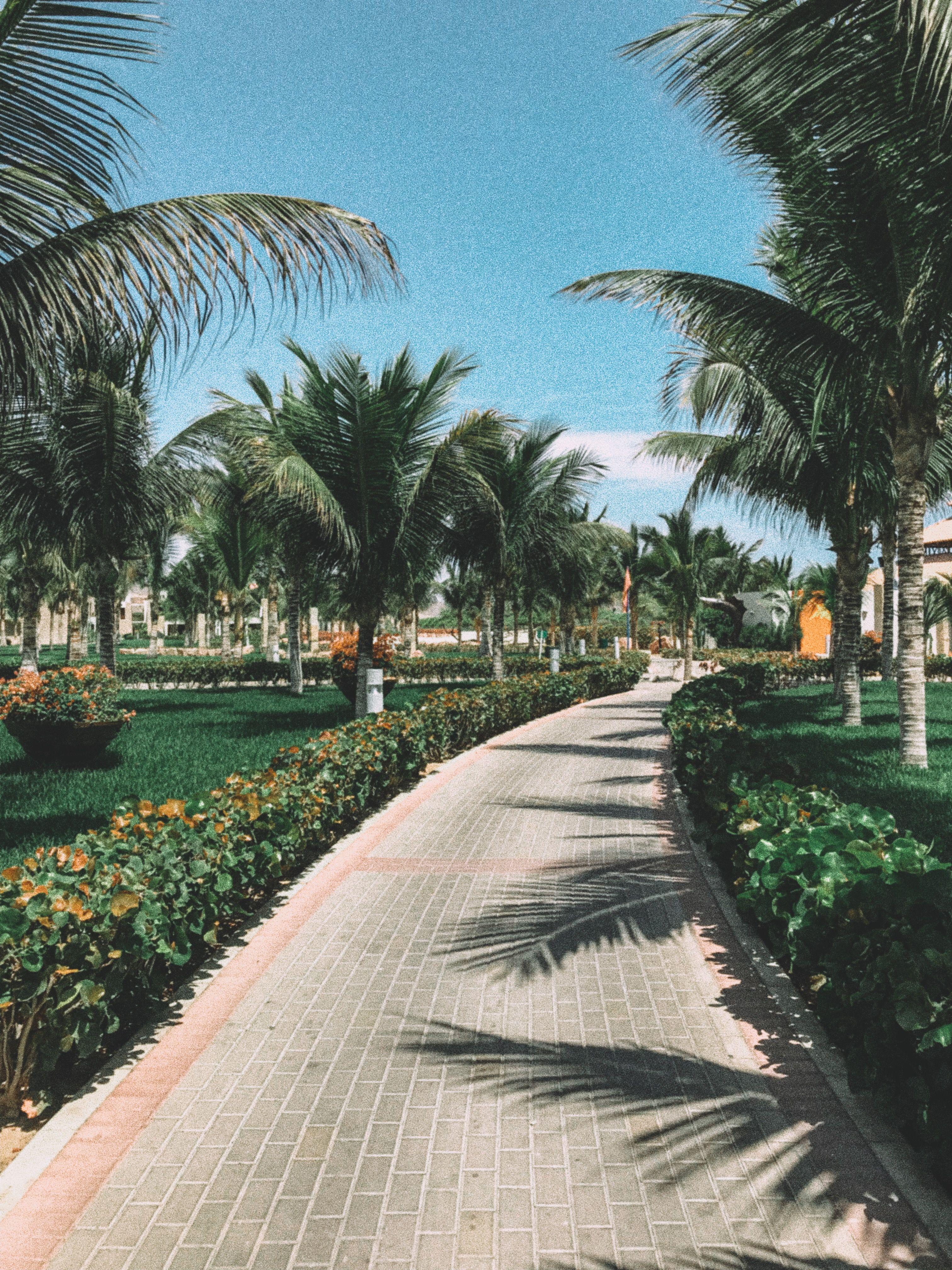 Walkway Wallpapers - Top Free Walkway Backgrounds - WallpaperAccess