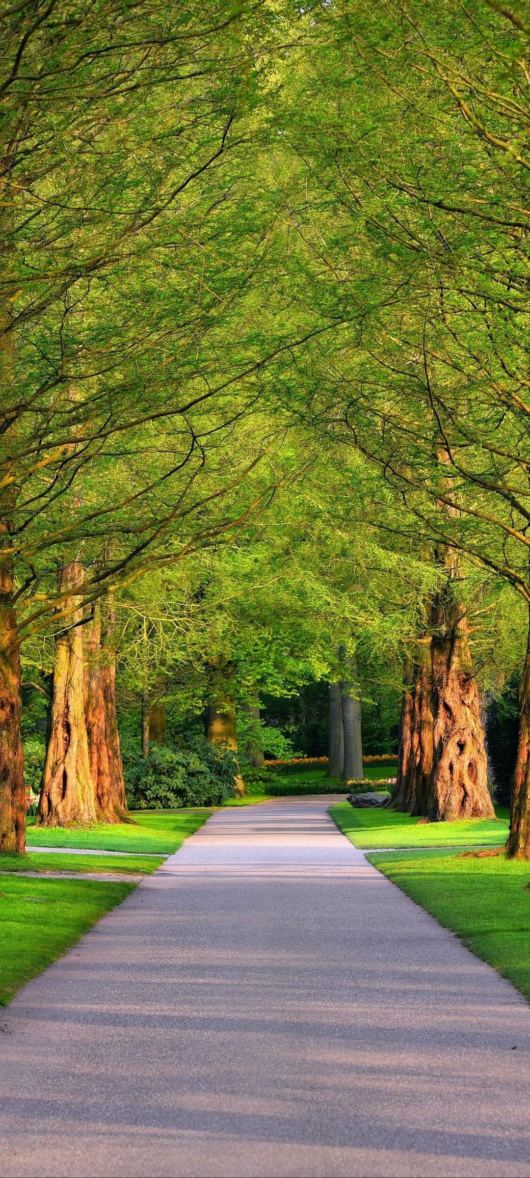 Walkway Wallpapers - Top Free Walkway Backgrounds - WallpaperAccess