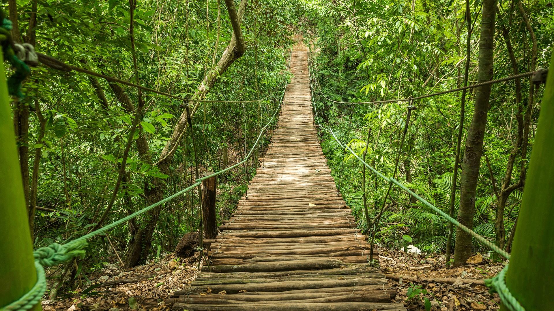 Walkway Wallpapers - Top Free Walkway Backgrounds - WallpaperAccess