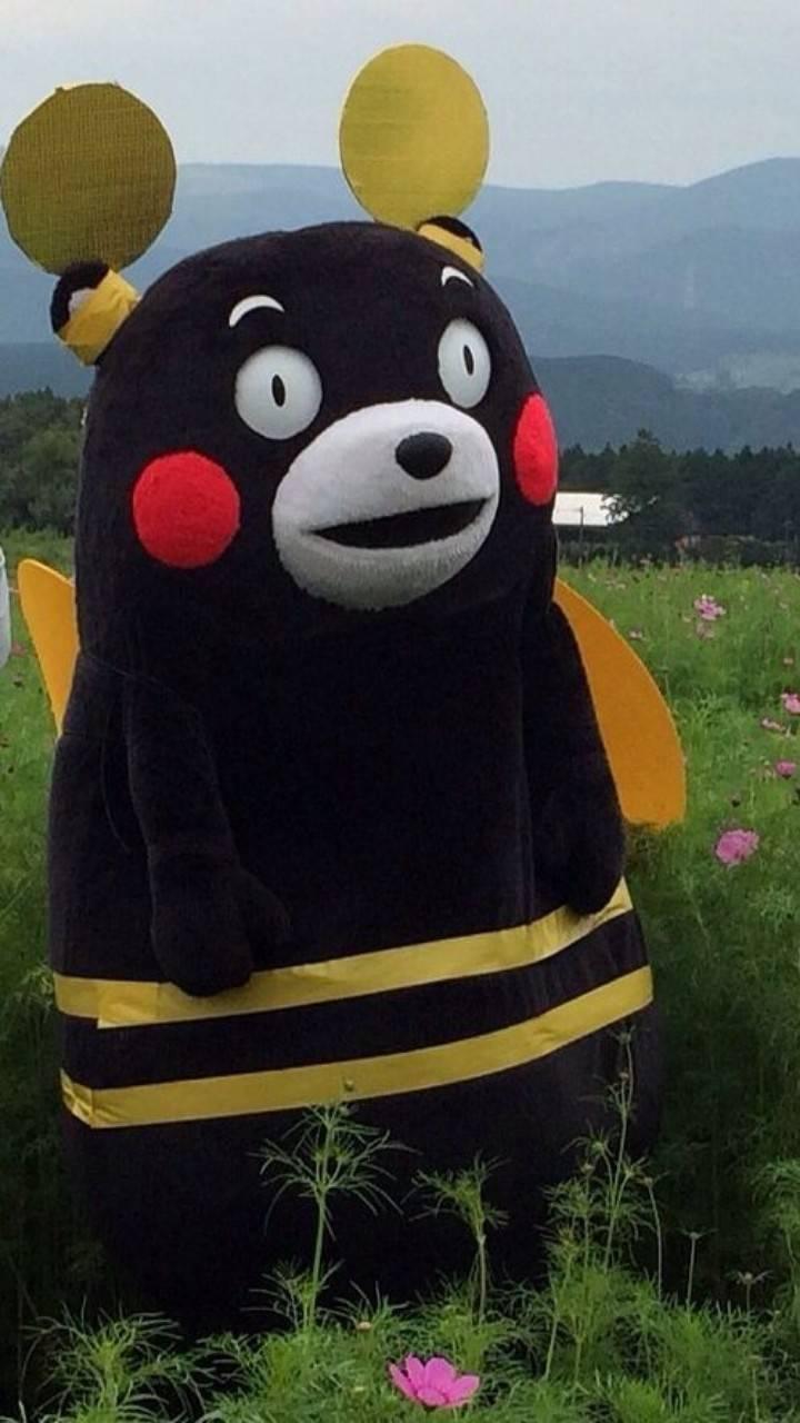 Kumamon iPhone Wallpapers - Top Free Kumamon iPhone Backgrounds ...