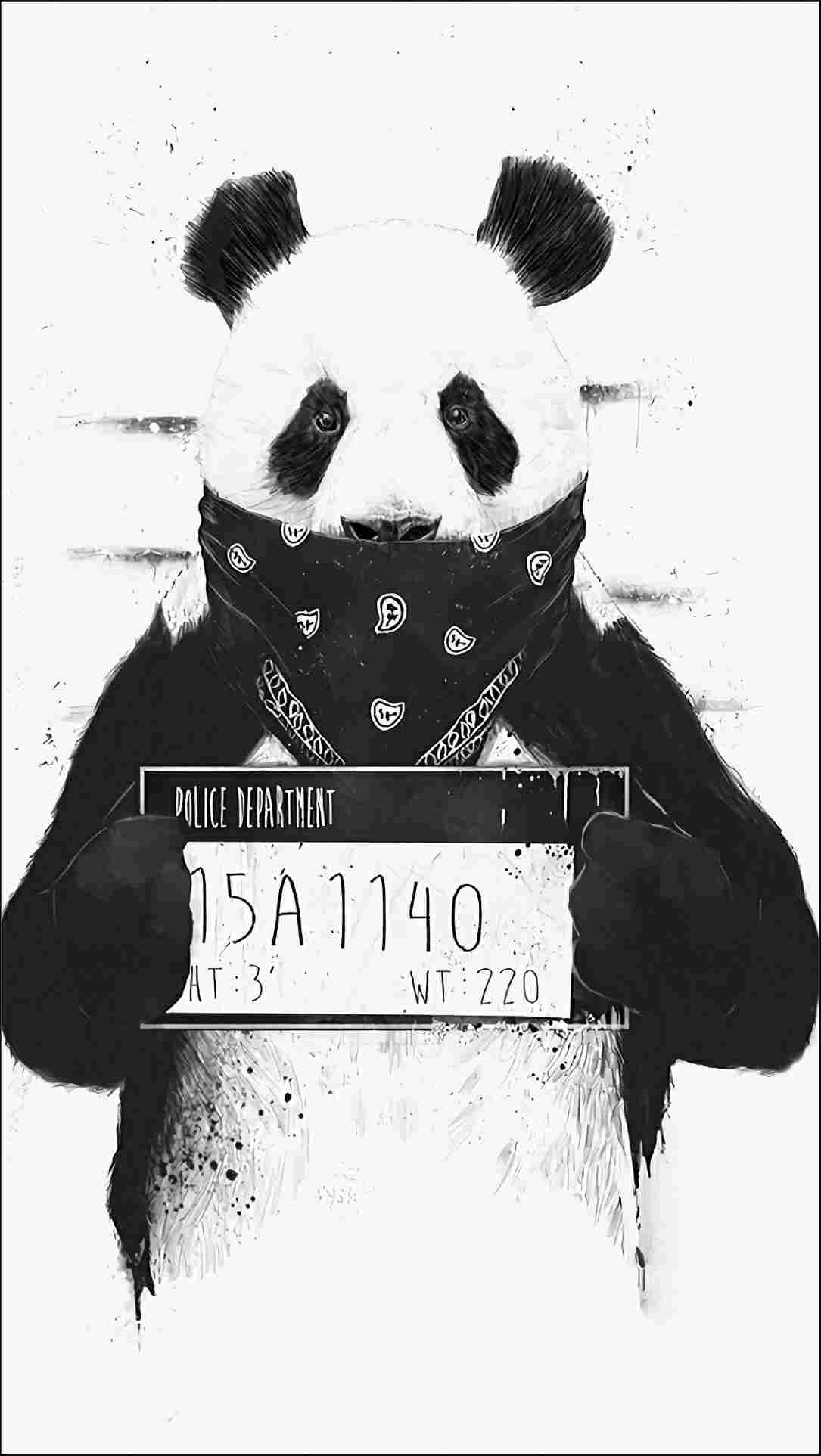 Desiigner Panda Wallpapers - Top Free Desiigner Panda Backgrounds ...