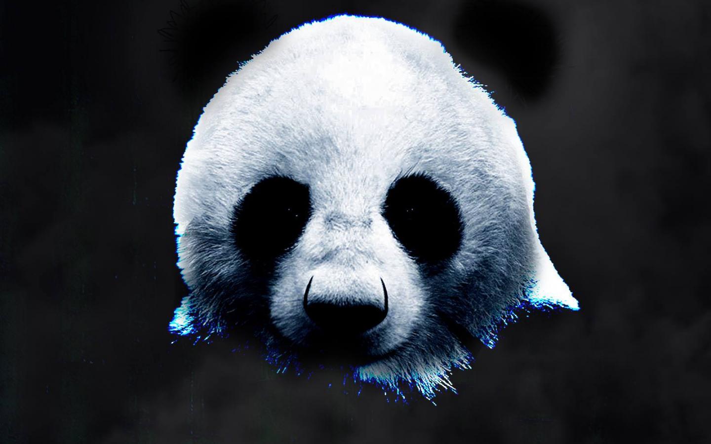 Desiigner Panda Wallpapers - Top Free Desiigner Panda Backgrounds ...