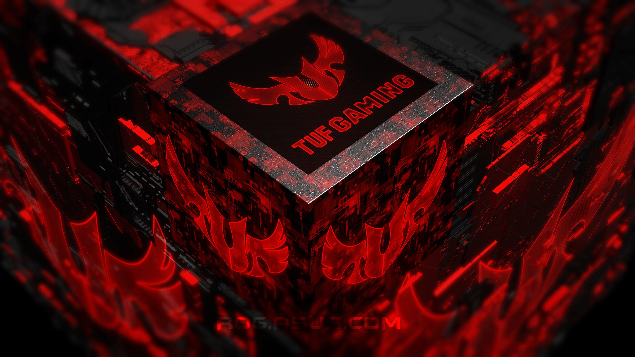 Asus Cerberus Wallpapers - Top Free Asus Cerberus Backgrounds ...