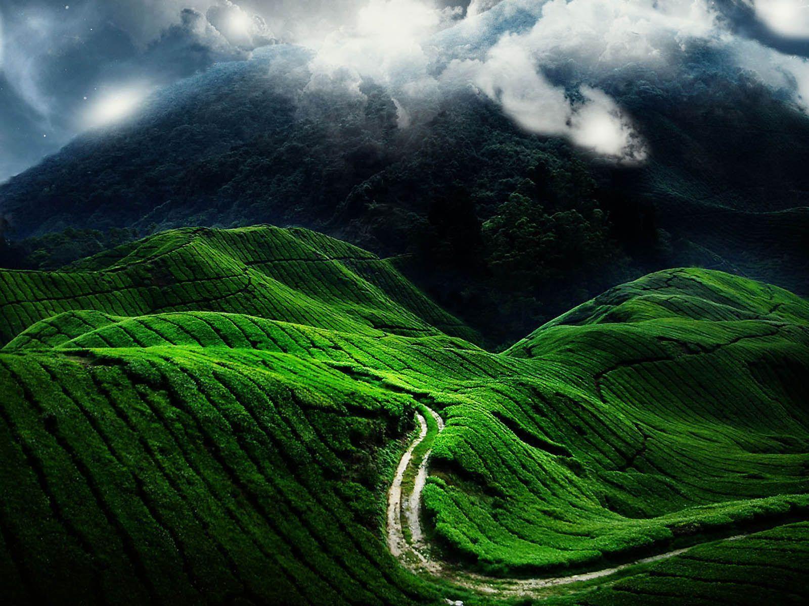 Happy Nature Wallpapers - Top Free Happy Nature Backgrounds ...