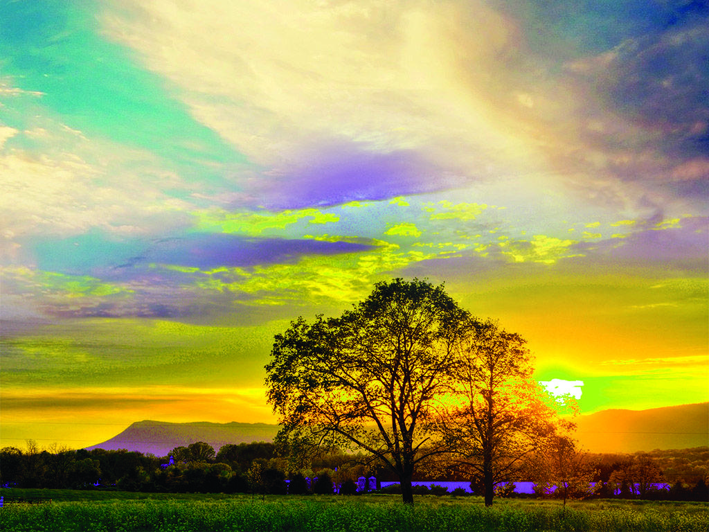 Happy Nature Wallpapers - Top Free Happy Nature Backgrounds ...