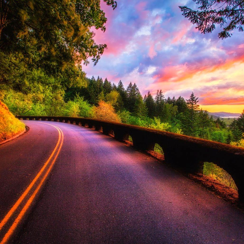 Nature Road Wallpapers - Top Free Nature Road Backgrounds - WallpaperAccess