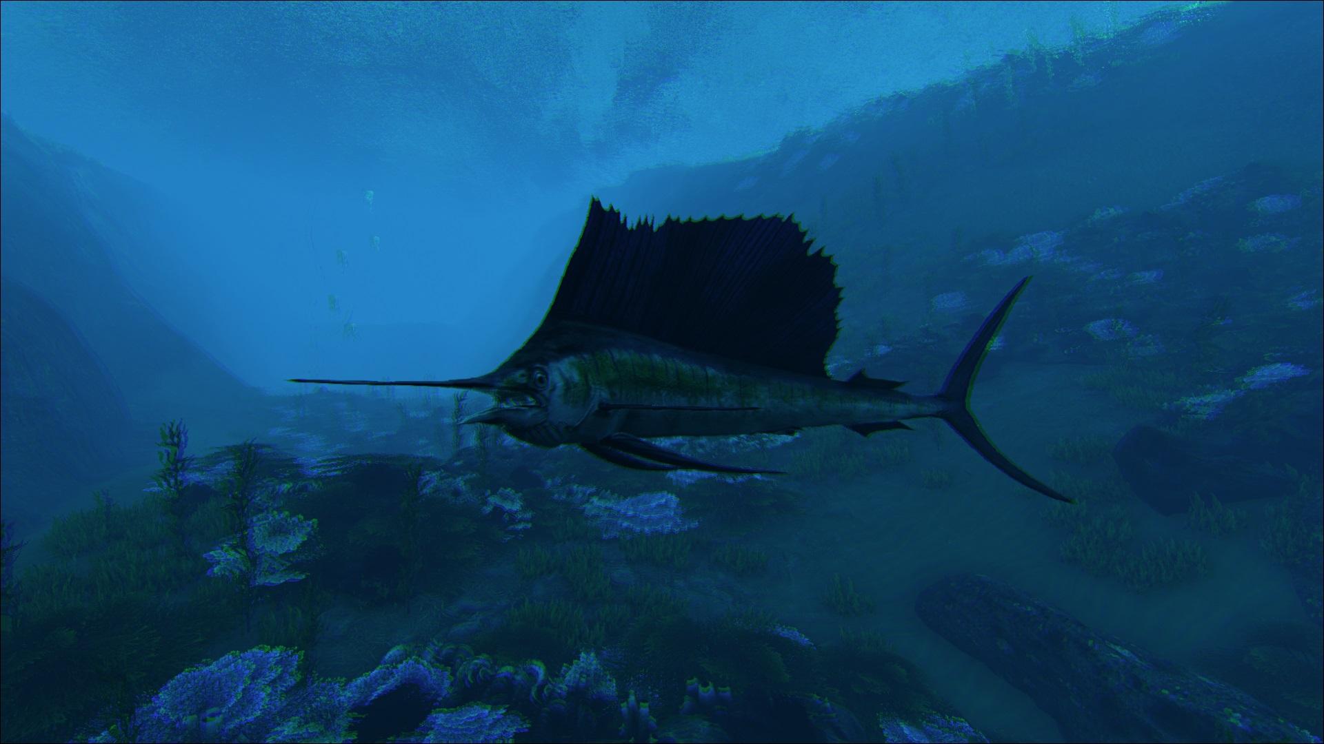 Sailfish Wallpapers - Top Free Sailfish Backgrounds - WallpaperAccess