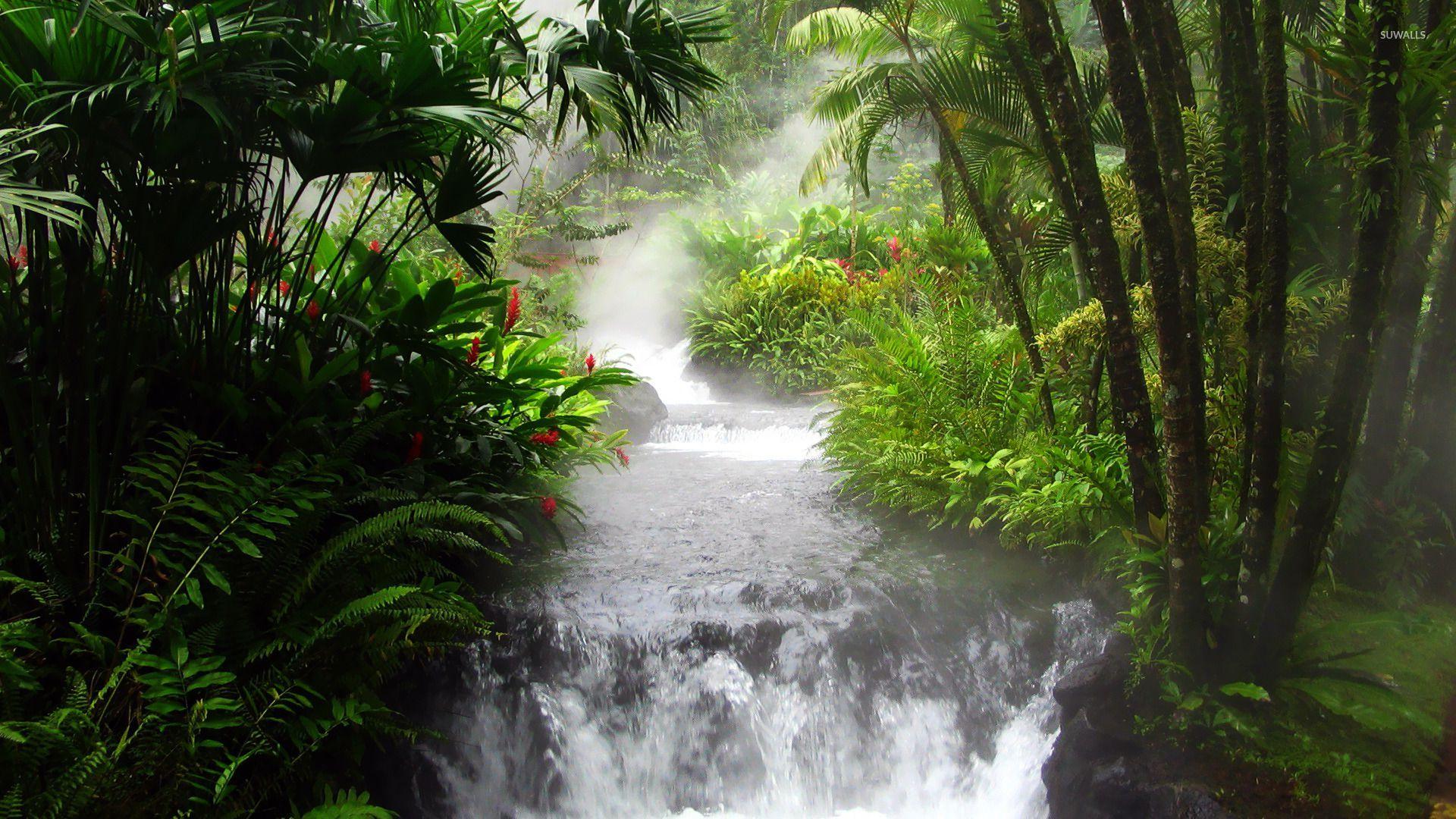 Jungle Waterfall Wallpapers - Top Free Jungle Waterfall Backgrounds ...