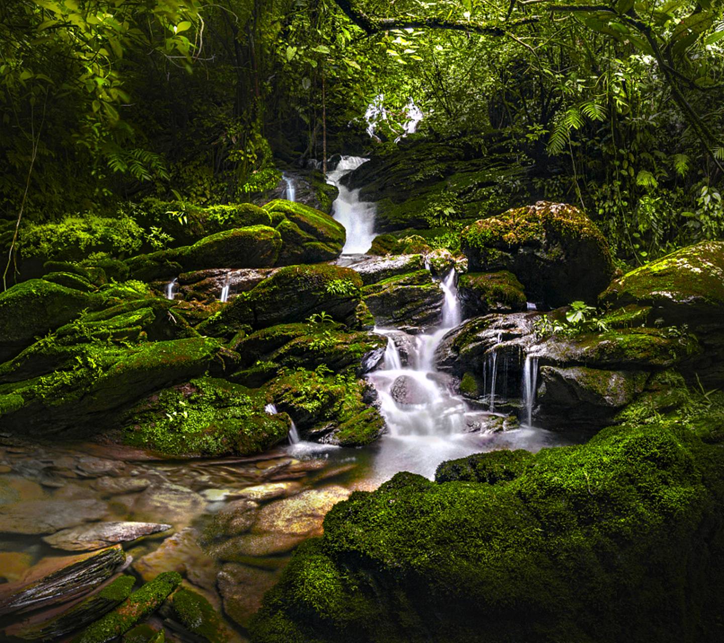 Jungle Waterfall Wallpapers - Top Free Jungle Waterfall Backgrounds ...